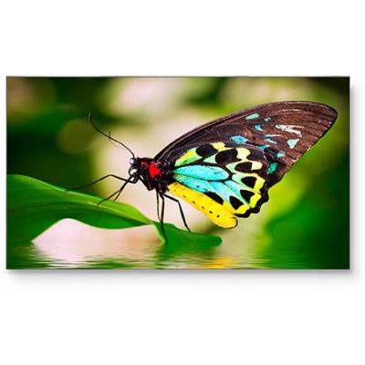 NEC 55" UN552 MultiSync Display - AV365